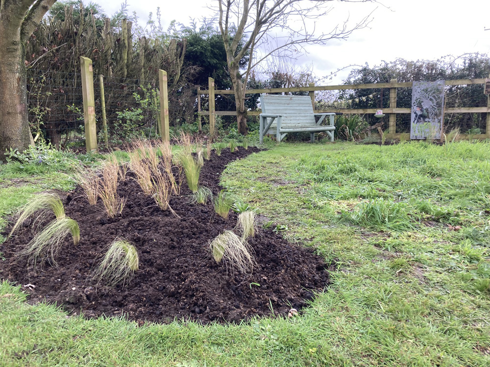 Prairie Planting - Phase 1 - Howson Gardening